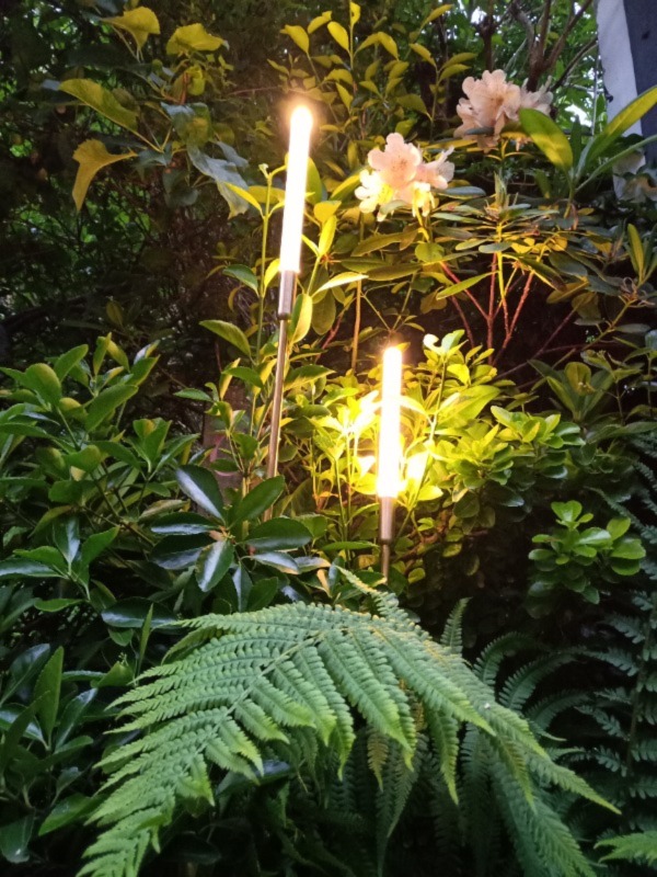 BIHAM Bullrush | B4021